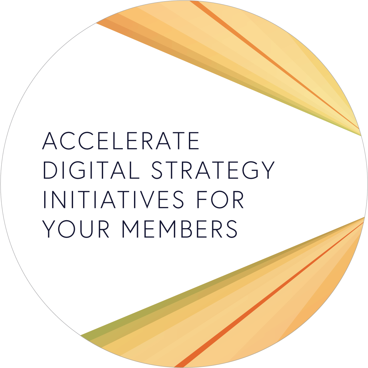 Accelerate Digital Strategy Initiatives for Your Members